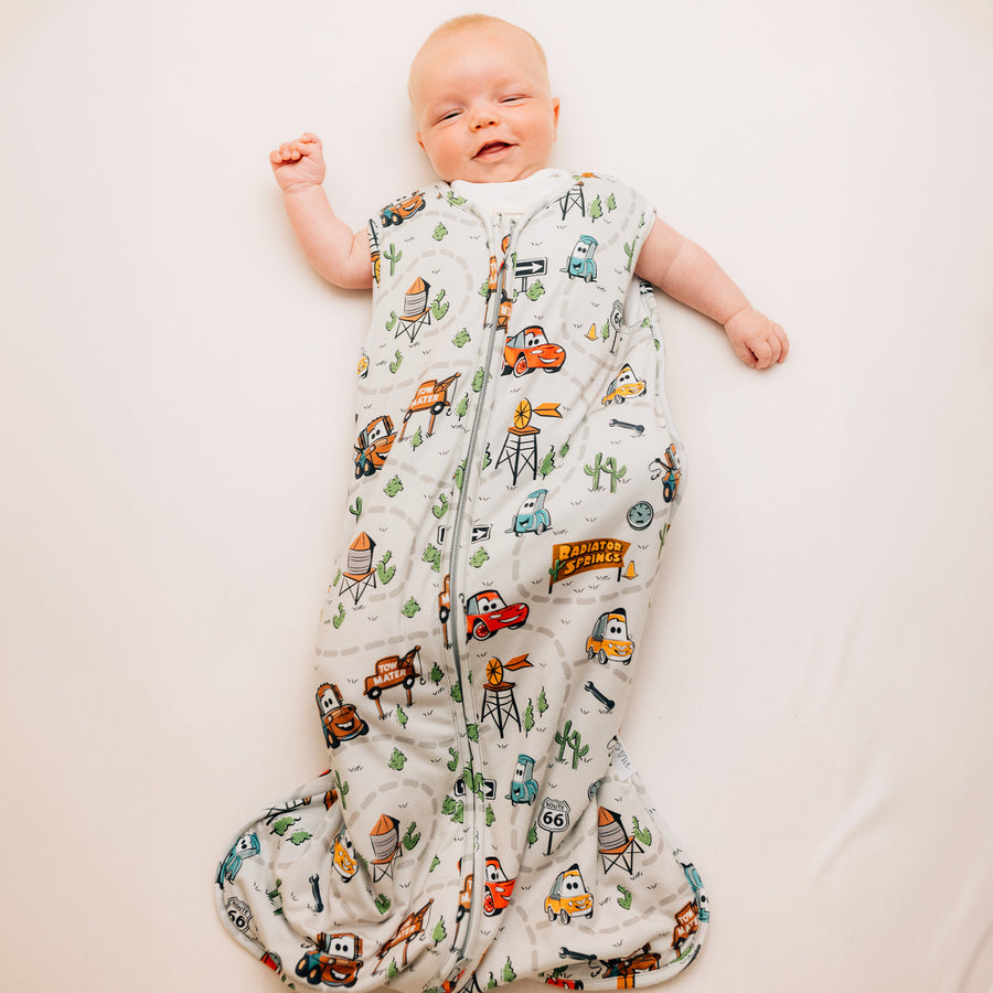 Disney Sleep Bag - Cars