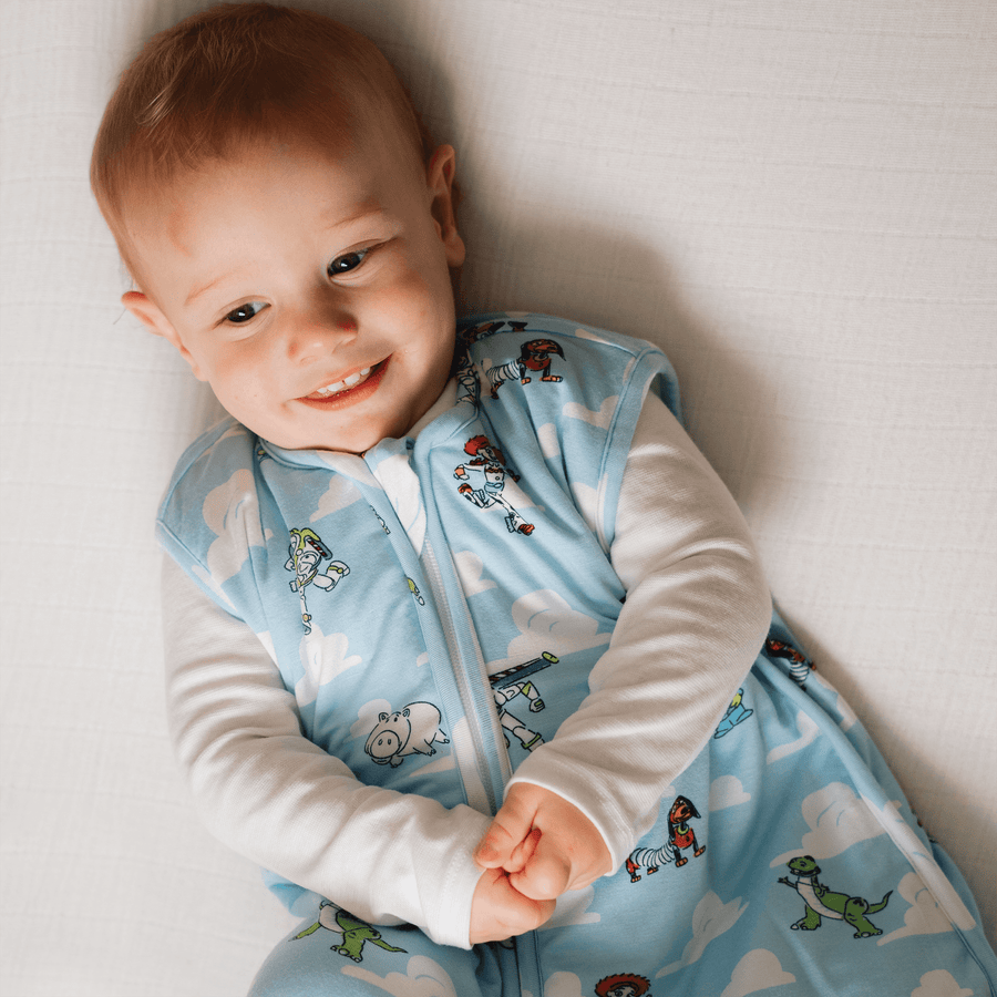Disney Baby Sleep Bag - Toy Story – Milk Snob